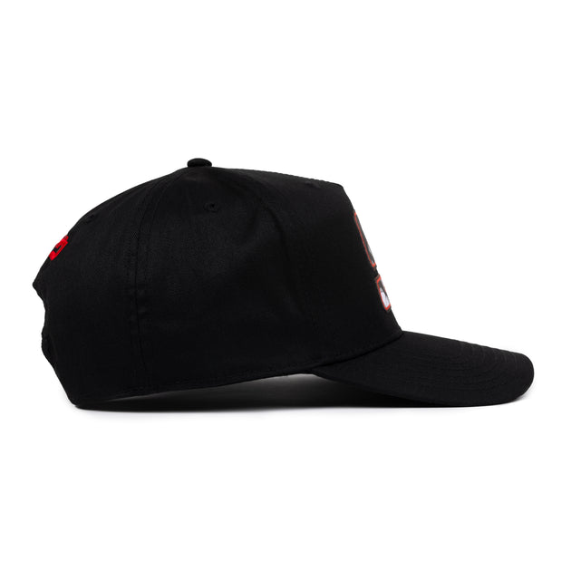 Sonic The Hedgehog x Louis De Guzman Shadow Snapback Hat